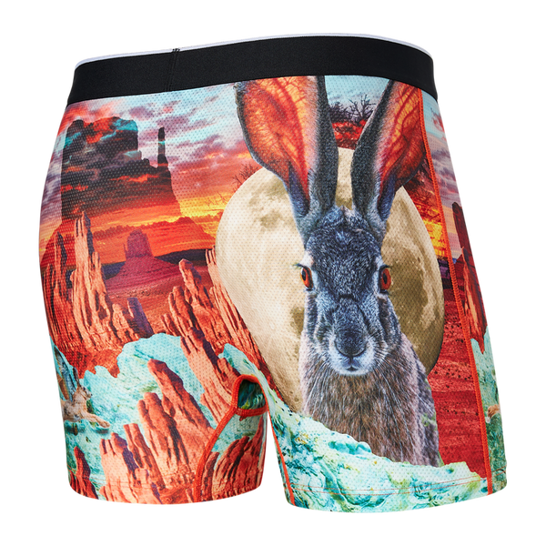 BOXER VOLT BREATH MESH SAXX – Boutique Sofia